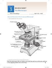 Exercise The Microscope Pdf EXERCISE REVIEW SHEET The Microscope Ethan Semendinger A P
