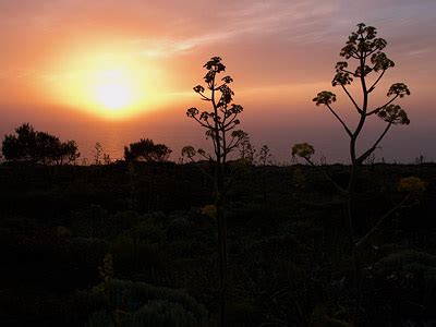 Tutorials The RAW File Format