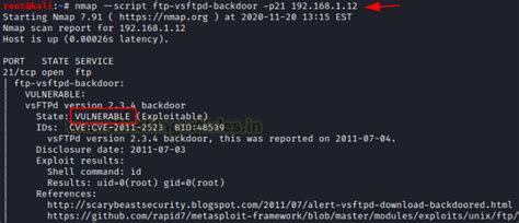 渗透测试人员的 Nmap：漏洞扫描零基础入门教程，网络安全看这一篇就够了！nmap 漏洞探测 Csdn博客