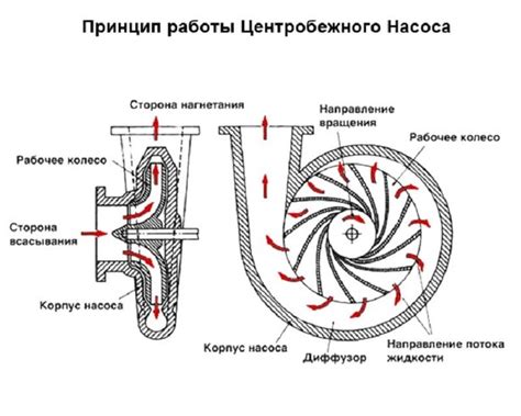 Устройство и принцип работы центробежного насоса