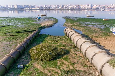 Urbanization And Water Quality