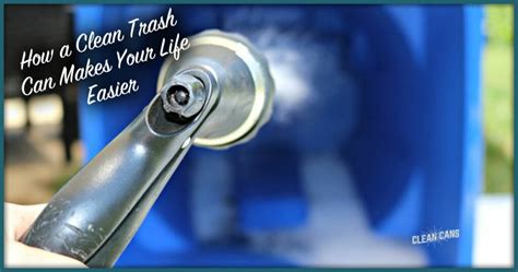 How A Clean Trash Can Makes Your Life Easier Clean Cans