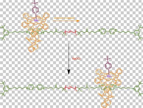 Supramolecular Catalysis Supramolecular Chemistry Crabtrees Catalyst