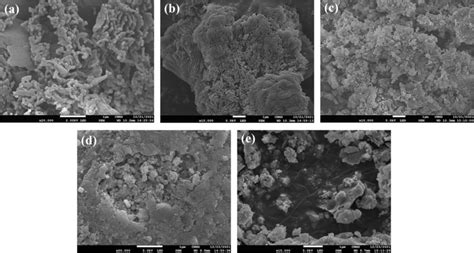 FE SEM Images Of A G C3N4 B G C3N4 OH C Fresh PdNPs G C3N4 BLE Download Scientific