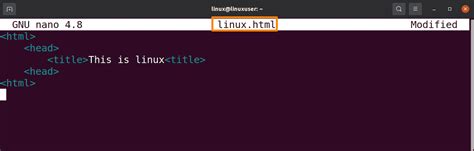 How To Use The Netcat Command To Read And Write Data Across The Network Linuxways