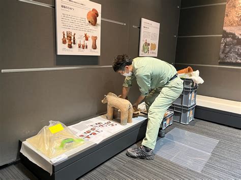展示資料の列品作業風景市原歴史博物館