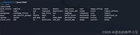 Linux Proc目录 Csdn博客 Linux Proc目录 Csdn博客