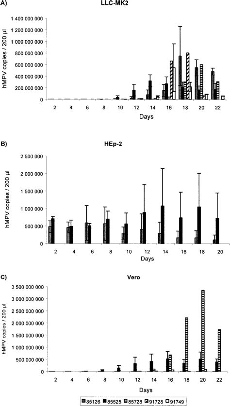 Replication Kinetics Of Five Hmpv Strains Over A Period Of 22 Days As Download Scientific