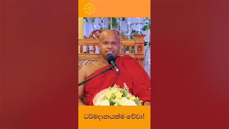 දර්ම දානයක්ම වේවා වැලිමඩ සද්දාසීල ස්වාමින් වහන්ස මහමෙව්නාව Youtube