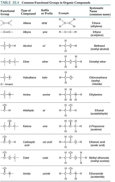 Common Functional Groups Diagram Quizlet