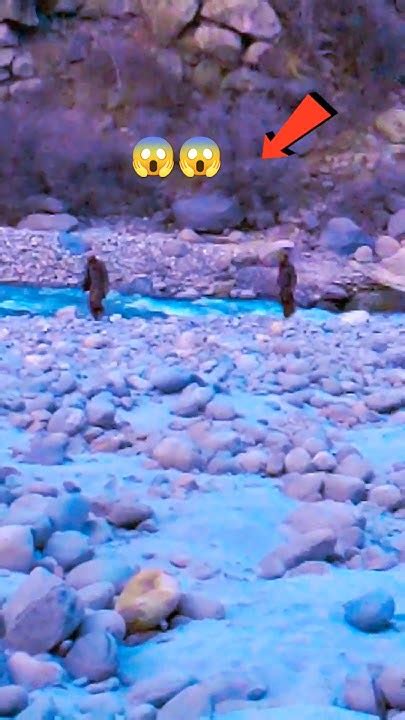 😱😱 Shorts Ytshorts Youtubeshorts Youtube