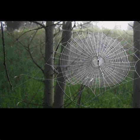 samuel adedeji on linkedin bebusinesssmart entrepreneurship building money workinghours…