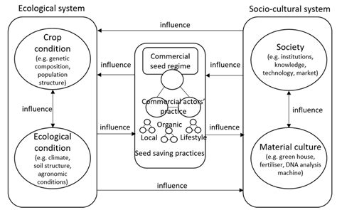 6 conceptual framework positioning seed saving practices diagram