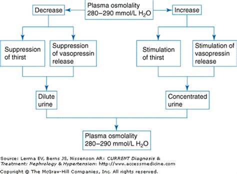 Normal Serum Osmolality