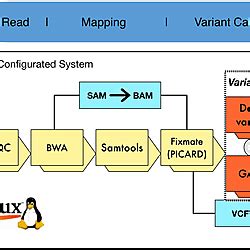 NGS Data Analysis Pipeline Used In The NGSpop Software