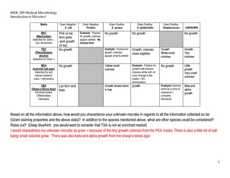 Labs 6 And 7 Sel Diff Media Biol 209 Medical Microbiology Introduction To Microbes 1 Media