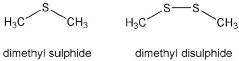 Dimethyl Sulfide Dot Structure