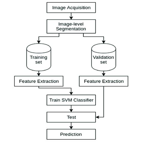 Block Diagram Of The Classification Process Download Scientific Diagram