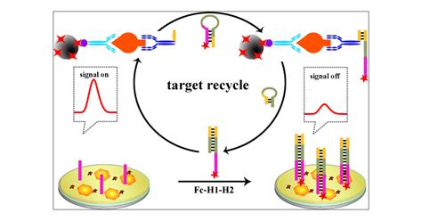 A Novel Electrochemiluminescent Immunoassay Based On Target Transformation Assisted With