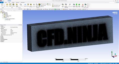 Ansys Meshing Body Of Influence CFD NINJA