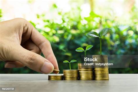 장기 투자 또는 올바른 개념으로 돈을 버는 동전 더미에 성장 공장나무 테이블에 동전의 스택에 넣어 사업가 손 서 있고 안정적인 투자를 묘사합니다 가계에 대한 스톡 사진 및