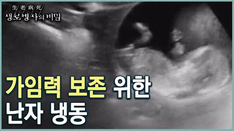 완치 후 임신 위한 난자 냉동 Kbs 20220921 방송 Youtube