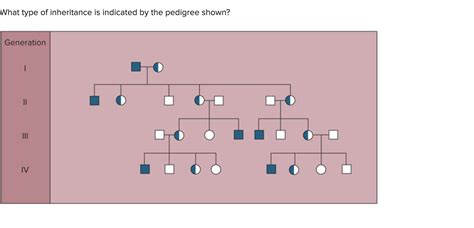 Solved What Type Of Inheritance Is Indicated By The Pedigree Chegg Com