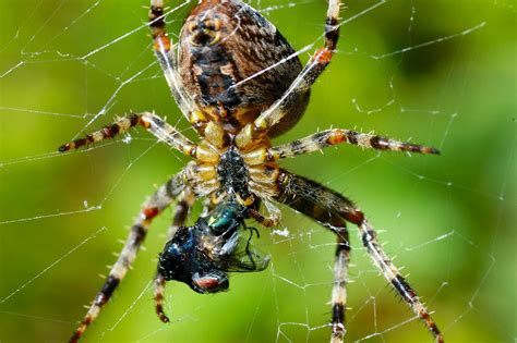 如何定义网页标题 数字前站