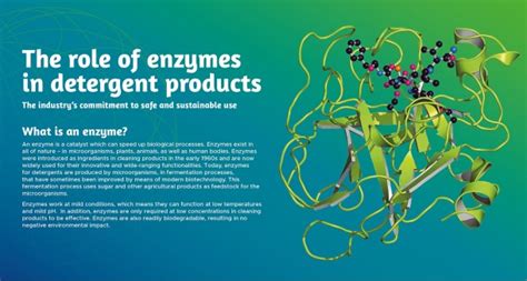 The Importance Of Enzymes In Detergent Products Ecj