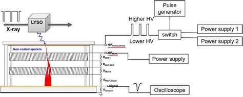 Schematic Of Mcp Based Photodetector Assembly Not To Scale And The Download Scientific