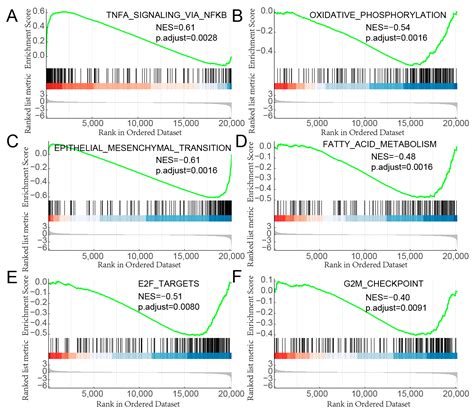 Gene Set Enrichment Analysis Scrna Seq At Judy Robeson Blog