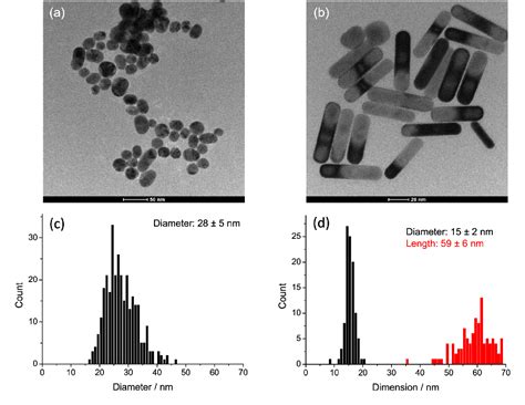 Figure 1 From The Effects Of Single Janus And Triple Functionalization Of Gold Nanoparticles
