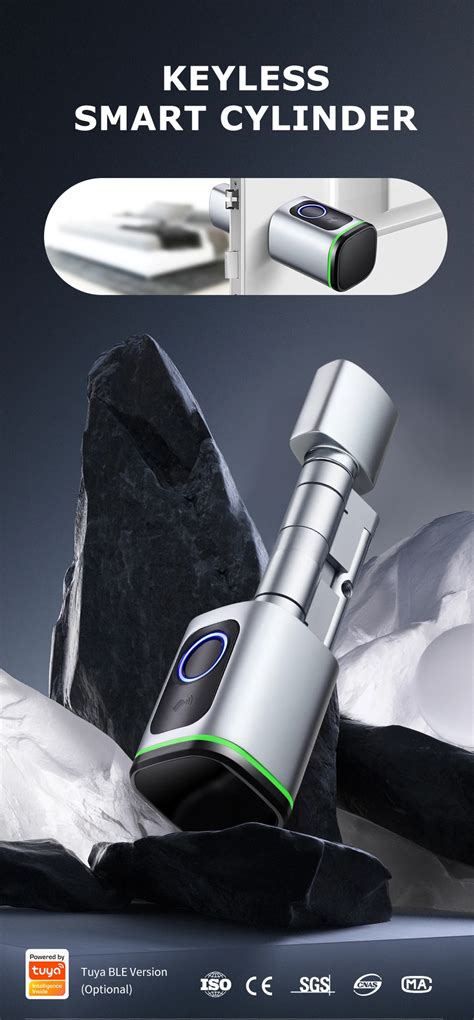 Raykube S1 Tuya Ble Tt Lock Smart Electronic Door Lock With Fingerprint And Diy Cylinder Core