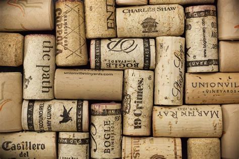 Chris Steuterman Senior Vice President And Director Of Beverage