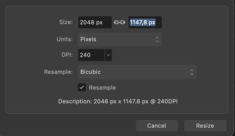 downscaling discrepancy between resize document and export dialog v2 bugs found on macos