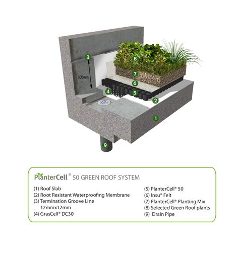 Plantercell® 50 Drainage Cell Palm Landscape