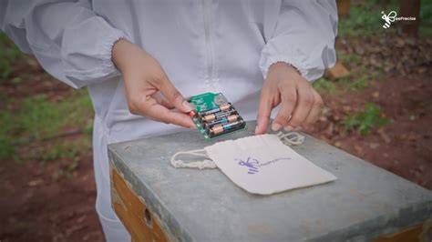 Beeprecise Beekeeping Made Precise