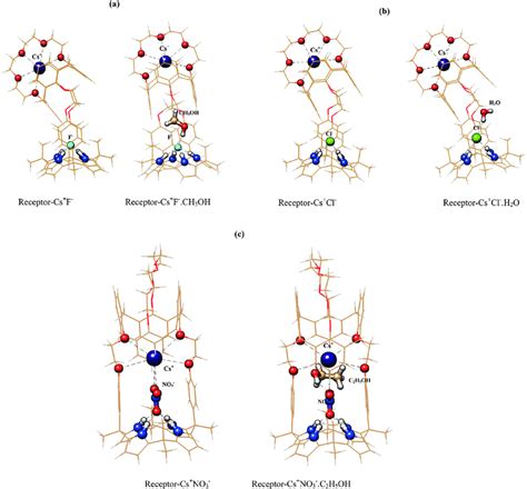 Optimized Structures Of A Receptor Cs F − Complex Cp Binding