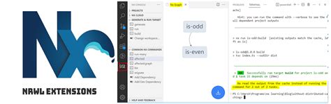 Nextgen Tooling System — Nx Nx Monorepo Standalone Repos … By