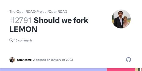 Should We Fork Lemon · Issue 2791 · The Openroad Projectopenroad · Github
