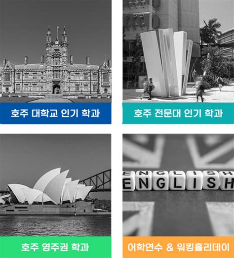 엑스퍼트 유학이민