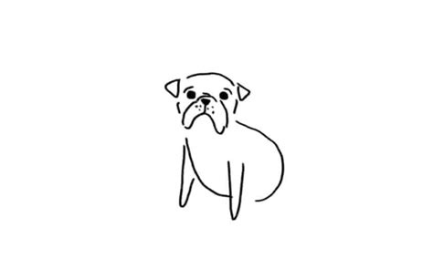 How to Draw a Pug A Step by Step Guide with Artist Andrea Cáceres Boogie the Pug