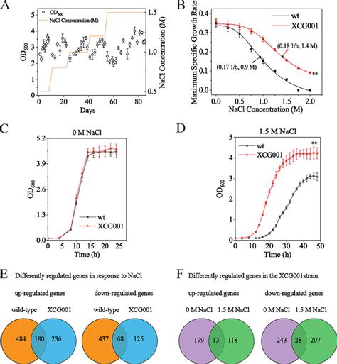 Global Transcriptome Analysis Of The Adaptive Laboratory Evolution