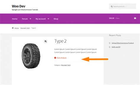 Woocommerce Hide Out Of Stock Variations Bingereuropean