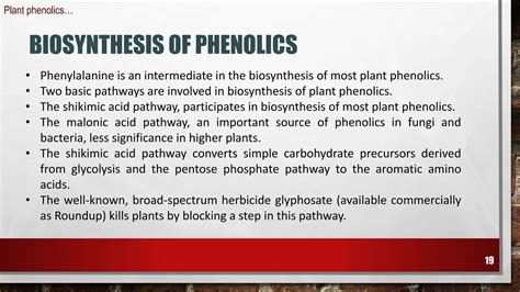 Phenolics Types Biosynthesis And Functions Pptx
