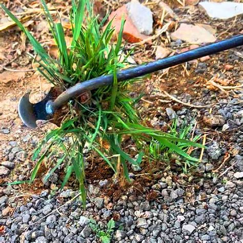 Nest And Nook Hoe Weeding Artifact Tools Garden Hoe Rake Steel Farm Tools