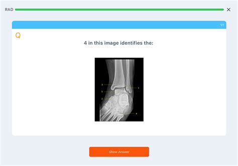 Prepry Radiography Exam Review Ace Your ARRT Certification