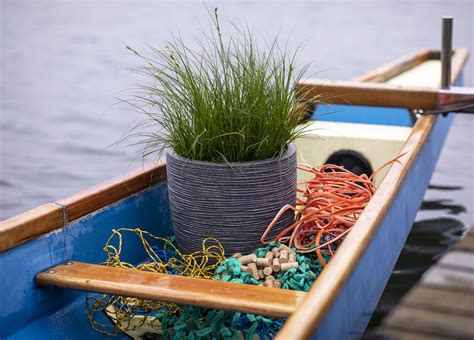 Our CSR Plan Green Design Indoor Plant Hire Sydney