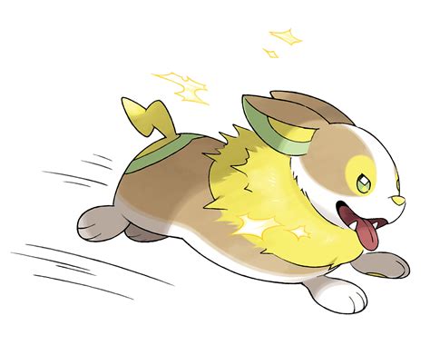 Yamper Wallpapers Top Free Yamper Backgrounds Wallpaperaccess