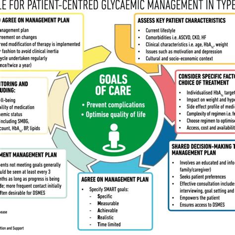 Decision Cycle For Patient Centred Glycaemic Management In Type 2